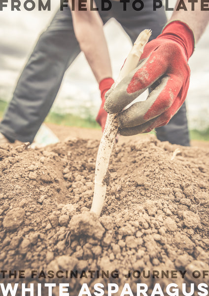 From Field to Plate: The Fascinating Journey of White Asparagus – Four ...