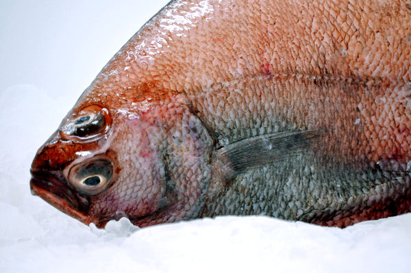 Exploring the Charm of CA Sand Dabs: A Delicate and Sustainable Deligh ...