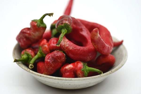 Delicious Jimmy Nardello Pepper Recipes for Bay Area Home Chefs – Four ...