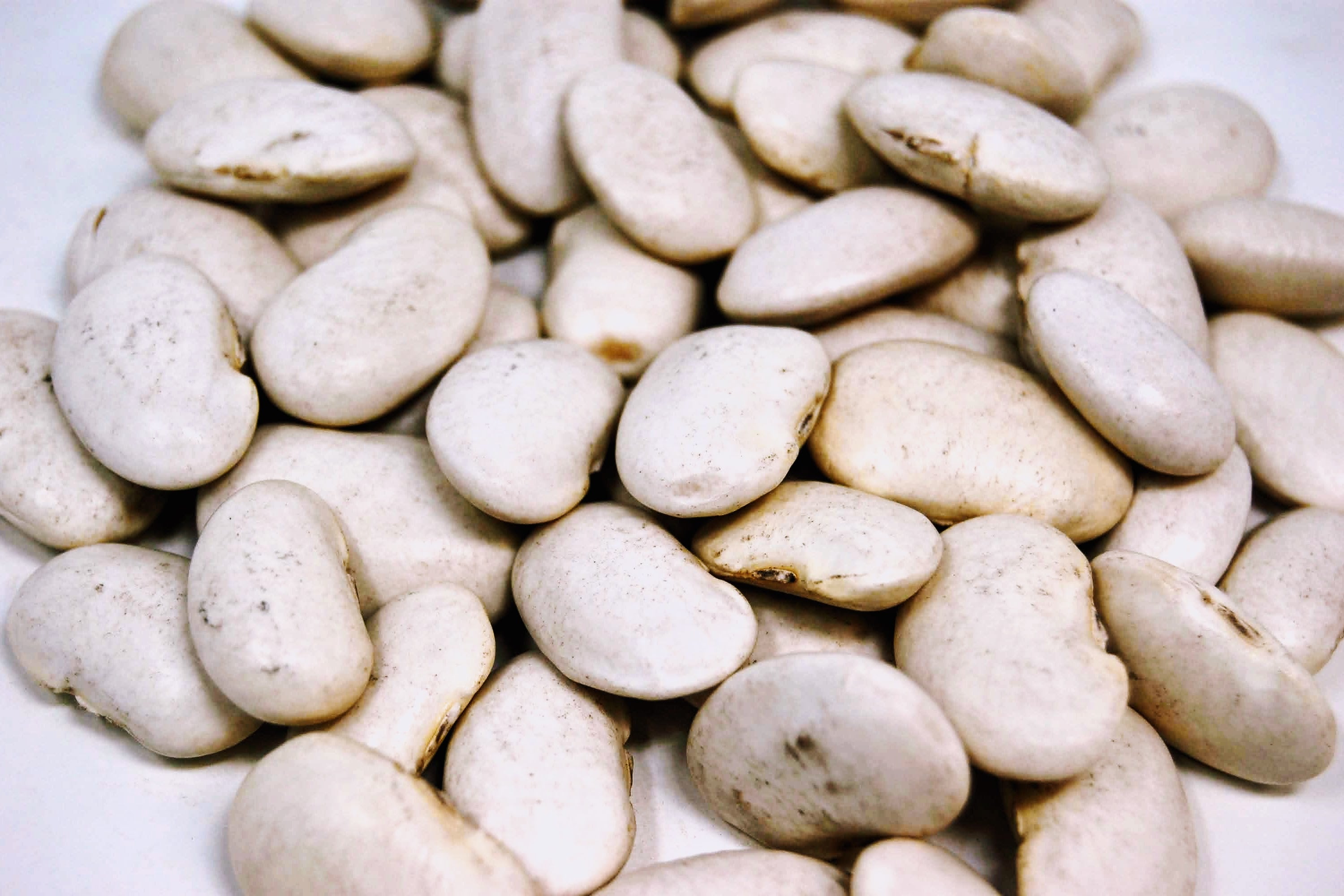 Gigante Beans (Iacopi) - Lb – Four Star Seafood and Provisions
