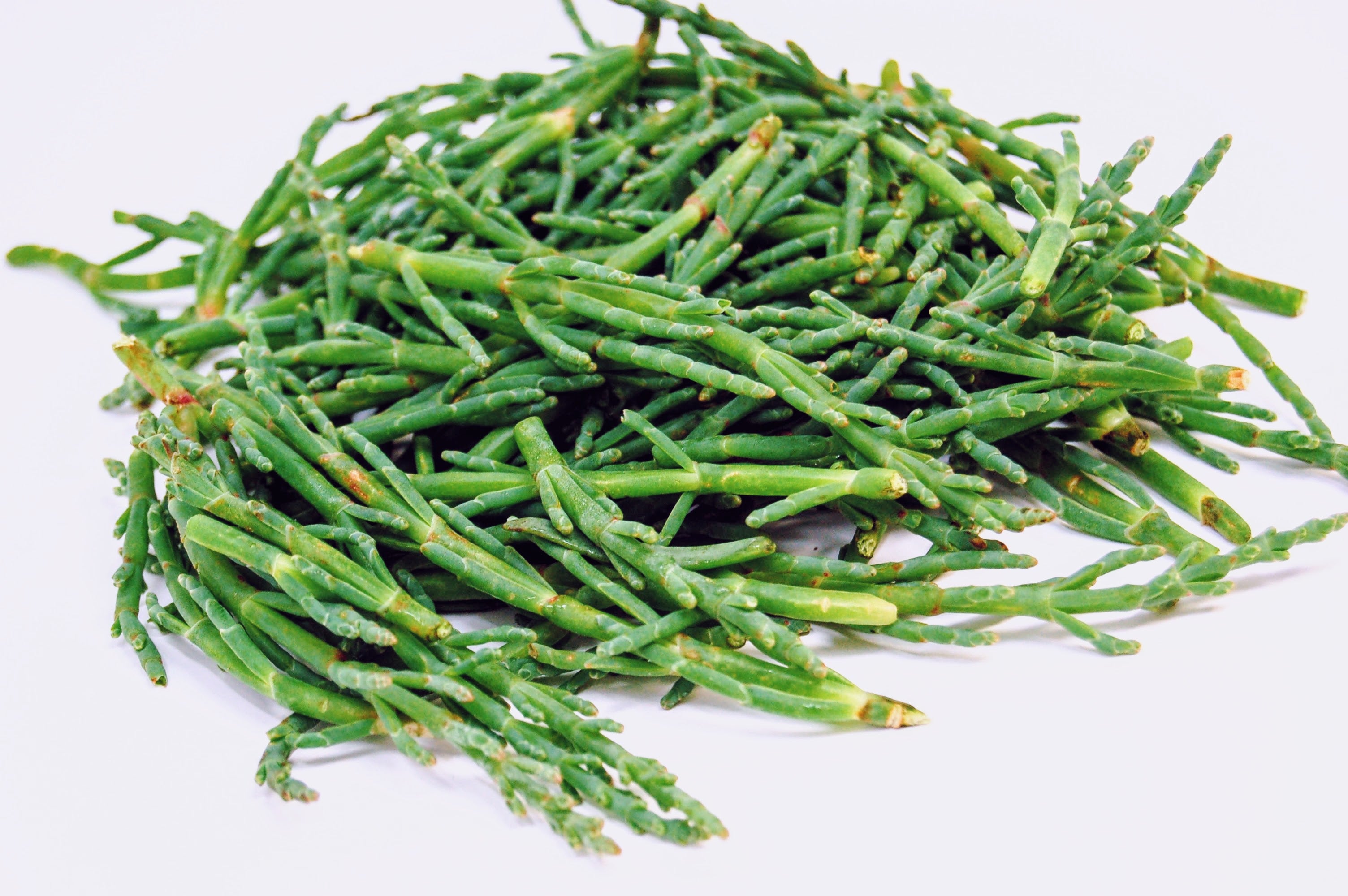 Sea Beans - 1/2 lb – Four Star Seafood and Provisions