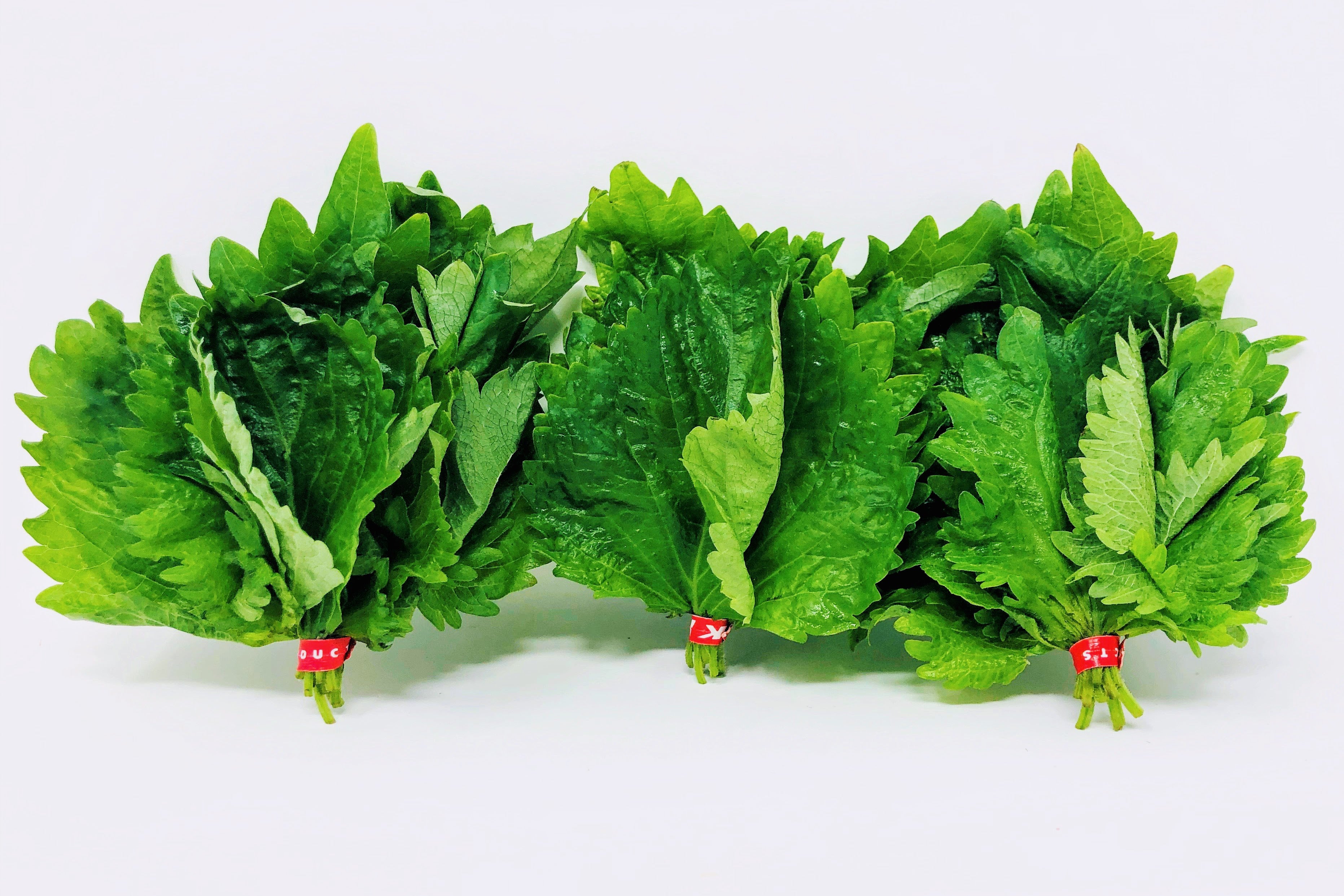 Shiso Leaf - 3 bunches – Four Star Seafood and Provisions